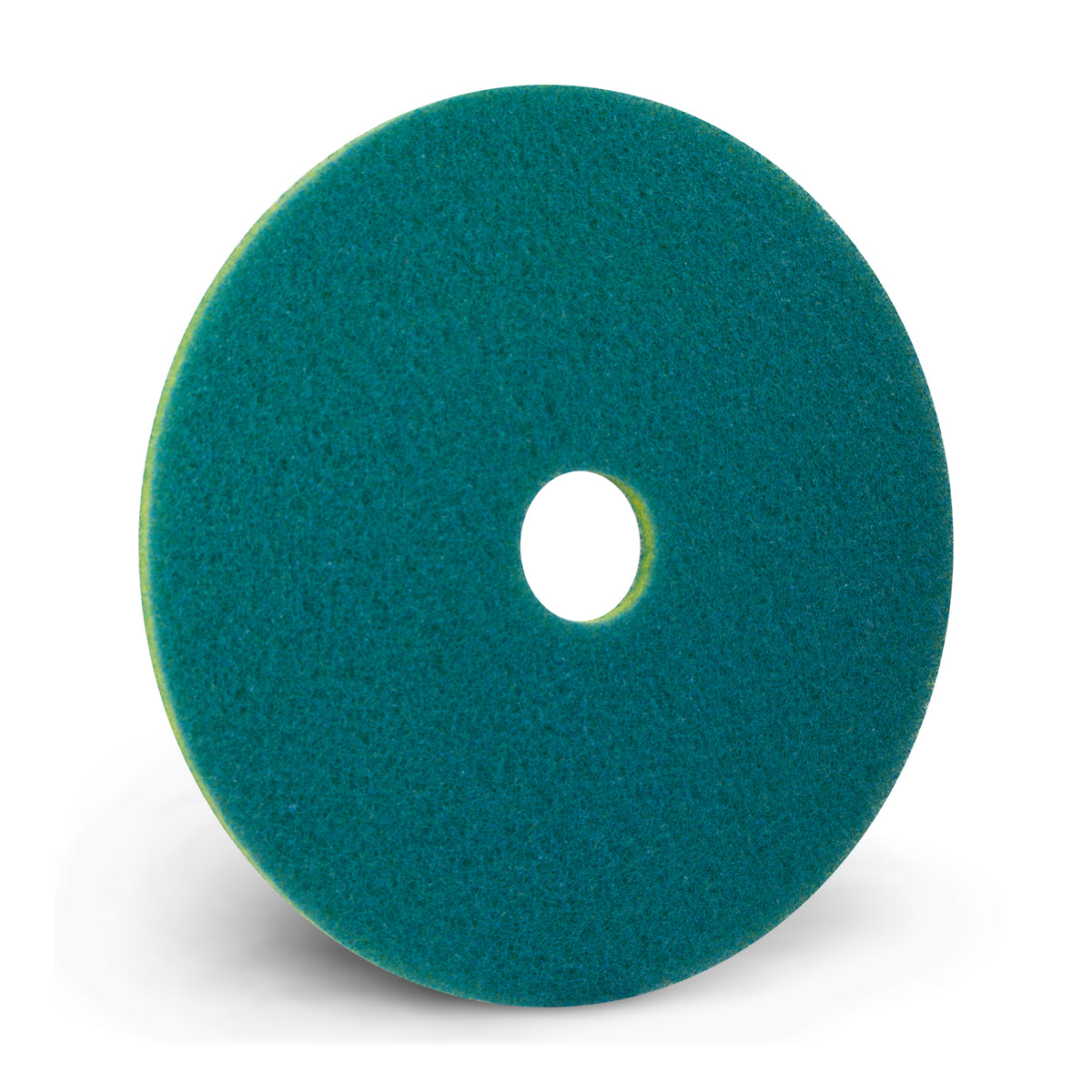 9" Blue Scouring Pad (1 pc) – SoftBank Robotics